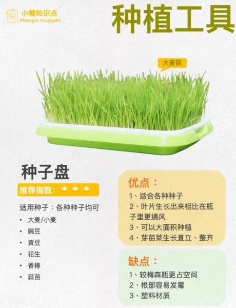 芽苗菜怎么种_芽苗菜的营养价值-第3张图片-山城妙识 芽苗菜怎么种_芽苗菜的营养价值-第3张图片-山城妙识