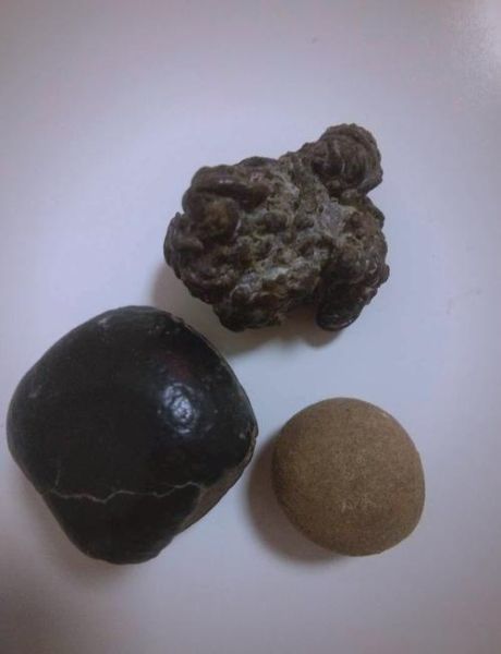 羊宝是啥_羊宝的功效与作用-第1张图片-山城妙识 羊宝是啥_羊宝的功效与作用-第1张图片-山城妙识