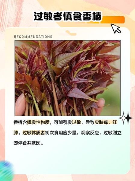 吃香椿的禁忌人群_哪些人不能吃香椿-第3张图片-山城妙识