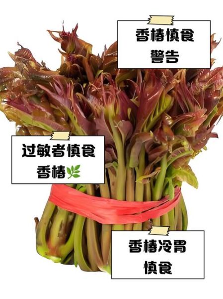 吃香椿的禁忌人群_哪些人不能吃香椿-第2张图片-山城妙识