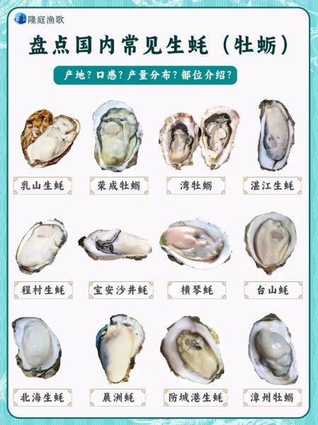 牡蛎是不是生蚝_生蚝和牡蛎的区别-第2张图片-山城妙识