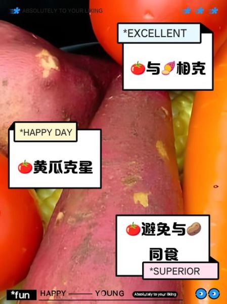 西红柿和什么相克_西红柿不能和什么一起吃-第3张图片-山城妙识