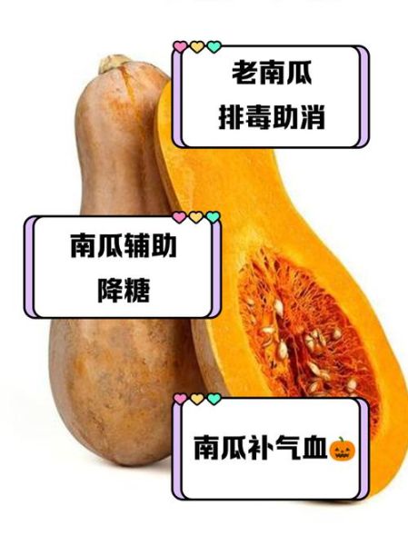 南瓜的营养价值_南瓜的功效与作用-第1张图片-山城妙识 南瓜的营养价值_南瓜的功效与作用-第1张图片-山城妙识