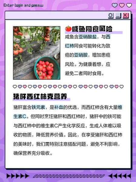 西红柿和什么相克_西红柿不能和什么一起吃-第2张图片-山城妙识