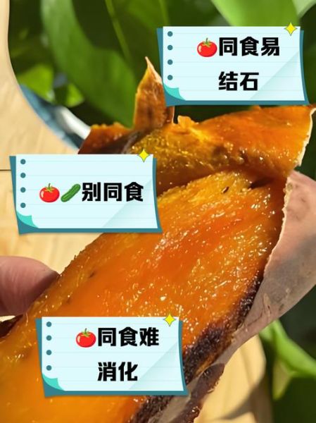 西红柿和什么相克_西红柿不能和什么一起吃-第1张图片-山城妙识