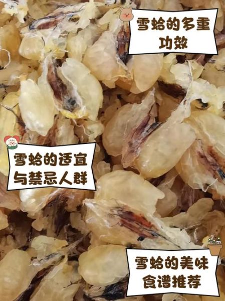 雪蛤的功效与作用_雪蛤适合什么人吃-第2张图片-山城妙识