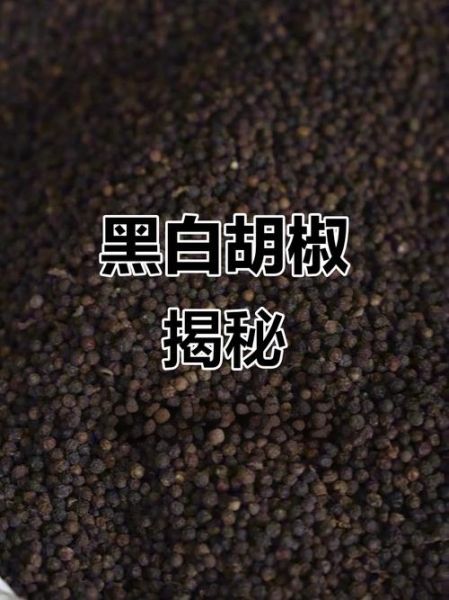 黑胡椒面和白胡椒面区别_哪个更辣-第1张图片-山城妙识
