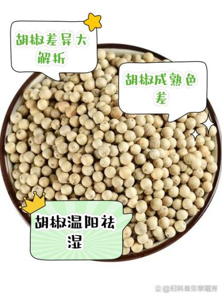 黑胡椒面和白胡椒面区别_哪个更辣-第3张图片-山城妙识