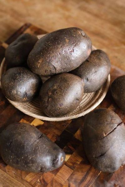 黑土豆怎么吃_黑土豆的营养价值与做法-第3张图片-山城妙识