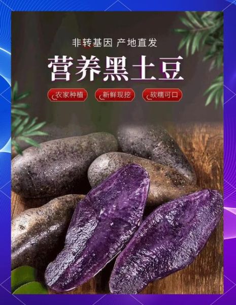 黑土豆怎么吃_黑土豆的营养价值与做法-第1张图片-山城妙识