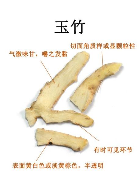 玉竹禁忌人群有哪些_什么人不能吃玉竹-第2张图片-山城妙识
