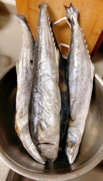 熏鲅鱼怎么做好吃_家常熏鲅鱼的做法步骤-第2张图片-山城妙识 熏鲅鱼怎么做好吃_家常熏鲅鱼的做法步骤-第2张图片-山城妙识