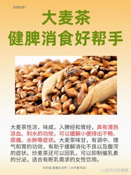 大麦茶的功效与作用是什么_喝大麦茶能减肥吗-第1张图片-山城妙识