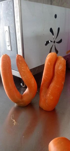 萝卜开会什么梗_萝卜开会梗出处-第1张图片-山城妙识