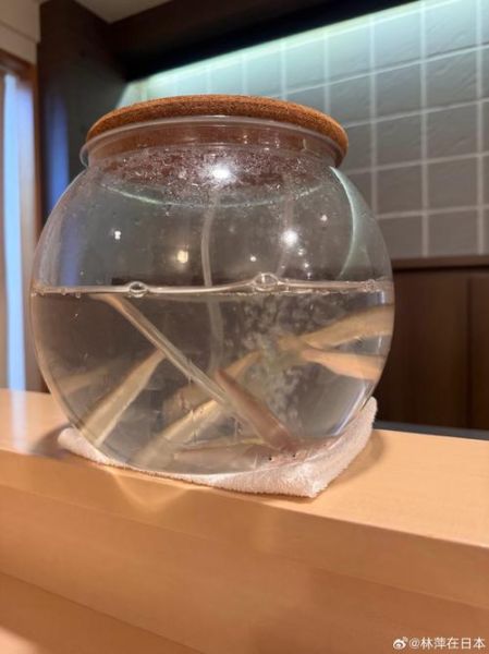 日本香鱼是什么鱼_日本香鱼价格多少钱一斤-第3张图片-山城妙识 日本香鱼是什么鱼_日本香鱼价格多少钱一斤-第3张图片-山城妙识