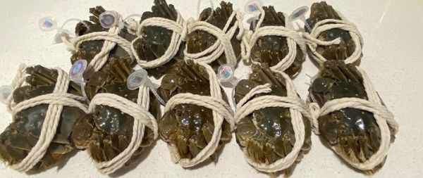 阳澄湖大闸蟹是哪里的特产_正宗产地在哪里-第2张图片-山城妙识