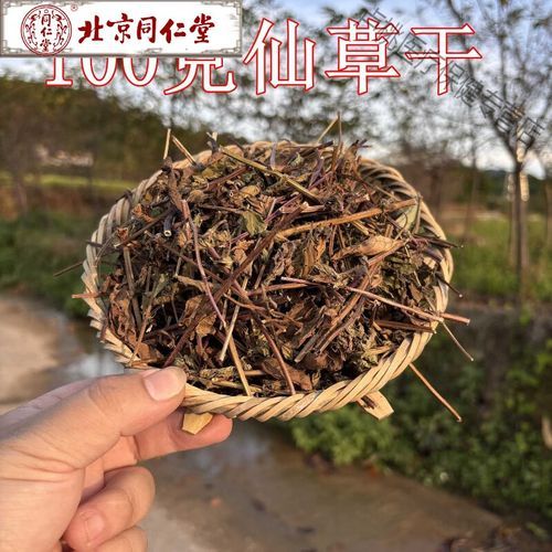 仙草干怎么熬_仙草干熬多久才出胶-第2张图片-山城妙识