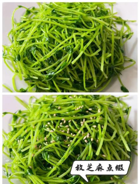 豌豆苗怎么做好吃_豌豆苗炒蛋的做法-第1张图片-山城妙识 豌豆苗怎么做好吃_豌豆苗炒蛋的做法-第1张图片-山城妙识