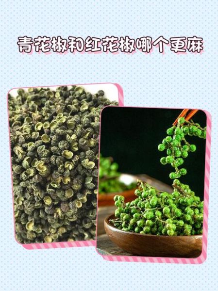 青花椒和红花椒的区别_哪个更麻-第2张图片-山城妙识