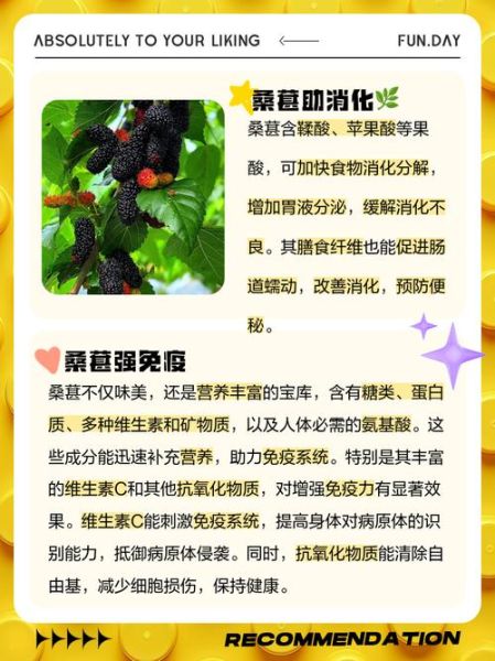 桑葚的功效与作用有哪些_桑葚的主治功能是什么-第3张图片-山城妙识