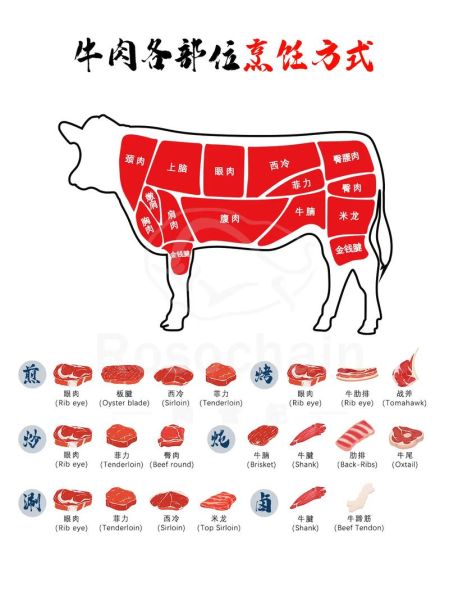 牛排哪个部位最嫩_牛排部位图解怎么选-第3张图片-山城妙识