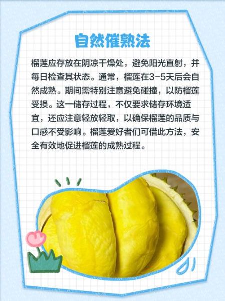 榴莲肉全部剥开没熟怎么办_如何补救生榴莲-第2张图片-山城妙识