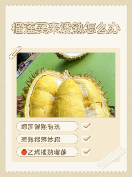 榴莲肉全部剥开没熟怎么办_如何补救生榴莲-第3张图片-山城妙识
