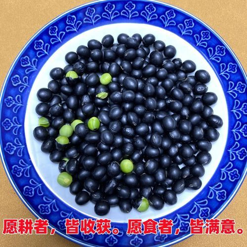 醋泡绿心黑豆的功效与作用_怎么吃效果最好-第2张图片-山城妙识