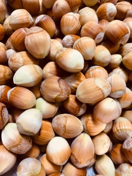 新鲜榛子怎么吃最好_新鲜榛子一天吃多少-第2张图片-山城妙识