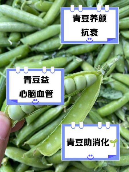 吃大青豆有什么好处_大青豆的功效与作用-第2张图片-山城妙识