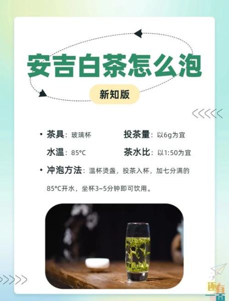 白茶怎么泡_白茶冲泡水温多少度-第1张图片-山城妙识