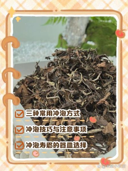 白茶怎么泡_白茶冲泡水温多少度-第3张图片-山城妙识