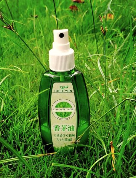香茅油有毒吗_香茅油对人体有害吗-第1张图片-山城妙识
