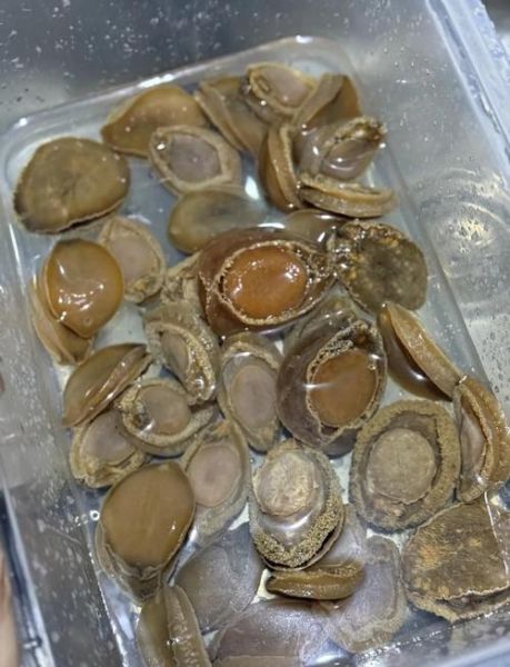 干鲍鱼怎么泡发_干鲍鱼泡发多久才软-第2张图片-山城妙识