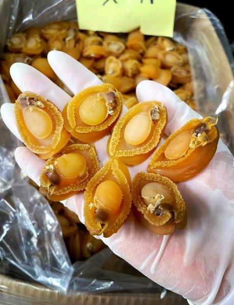 干鲍鱼怎么泡发_干鲍鱼泡发多久才软-第3张图片-山城妙识