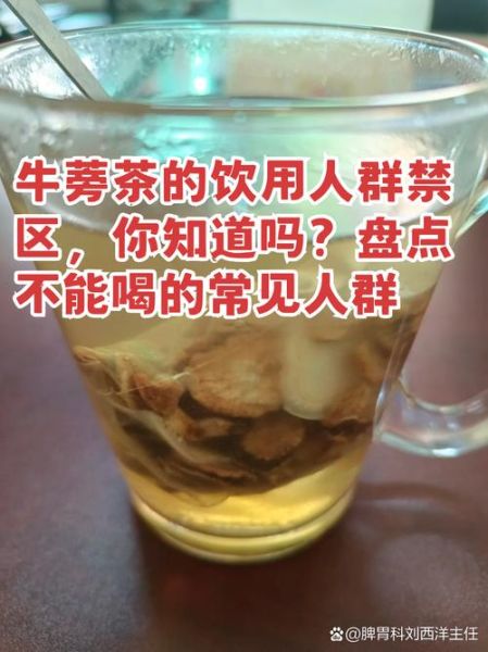 牛蒡茶的功效与作用适合什么人喝_长期饮用有哪些禁忌-第2张图片-山城妙识
