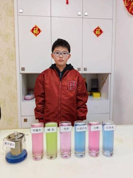 紫甘蓝变色实验原理_5种液体分别加什么会变-第1张图片-山城妙识