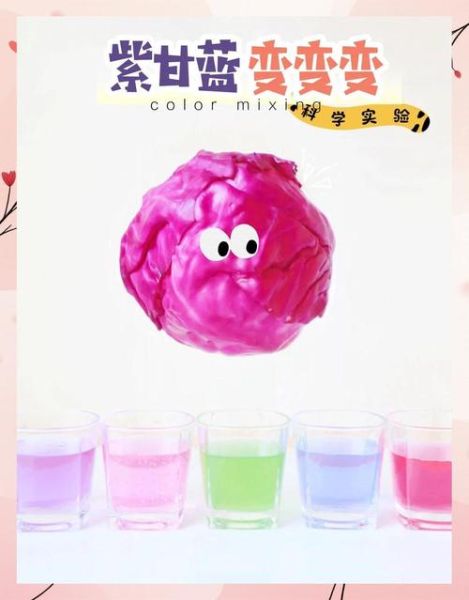 紫甘蓝变色实验原理_5种液体分别加什么会变-第3张图片-山城妙识