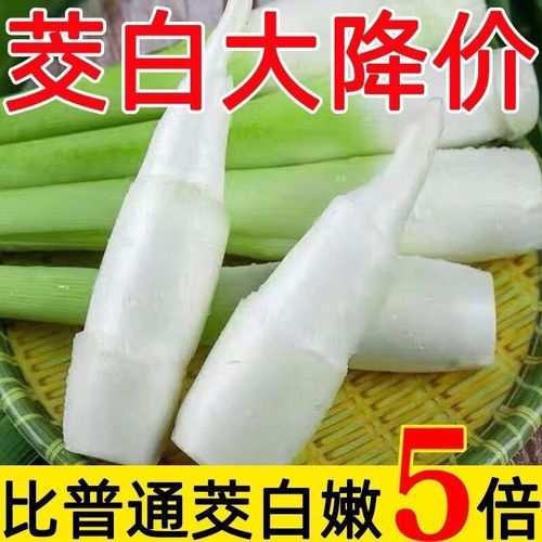 茭儿菜和茭白是一种东西吗_茭儿菜与茭白的区别-第2张图片-山城妙识