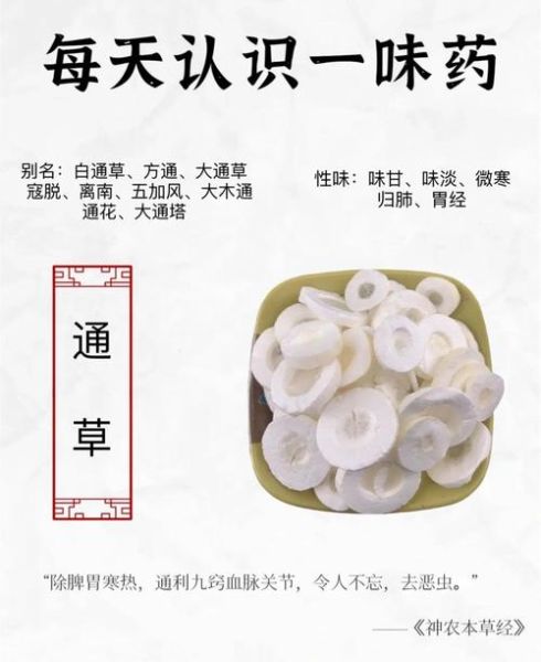 通草可以吃下去吗_通草食用安全性-第1张图片-山城妙识 通草可以吃下去吗_通草食用安全性-第1张图片-山城妙识
