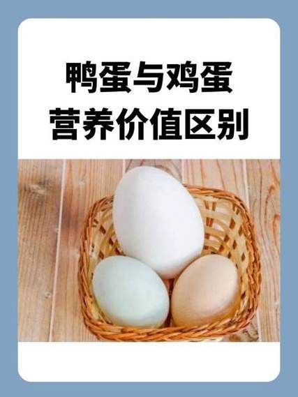 鸭蛋的营养价值_鸭蛋和鸡蛋哪个更营养-第3张图片-山城妙识