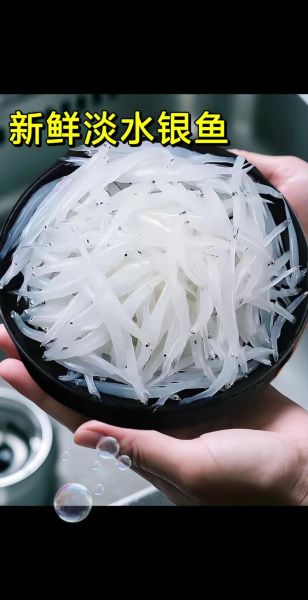 白肌银鱼多少钱一斤_白肌银鱼价格行情-第2张图片-山城妙识