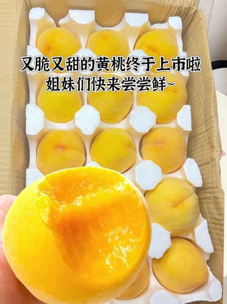 中国三大黄桃产地在哪里_哪里的黄桃最好吃-第1张图片-山城妙识