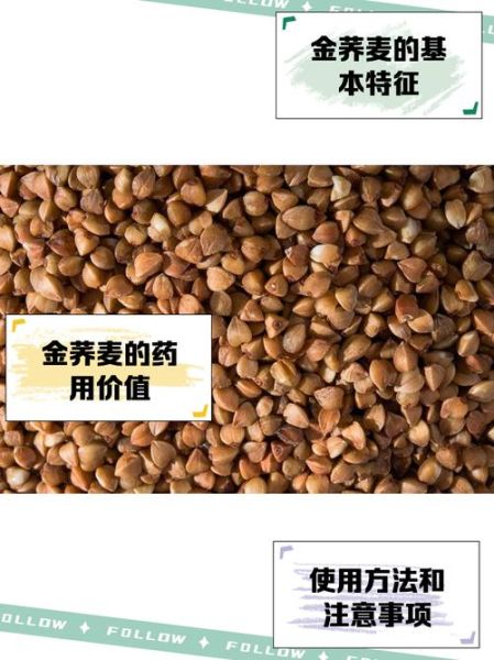 金荞麦的功效与作用_金荞麦怎么吃效果最好-第1张图片-山城妙识