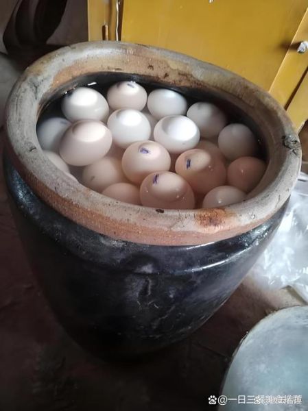 10斤鸡蛋腌制配方_鸡蛋腌制多久可以吃-第3张图片-山城妙识 10斤鸡蛋腌制配方_鸡蛋腌制多久可以吃-第3张图片-山城妙识