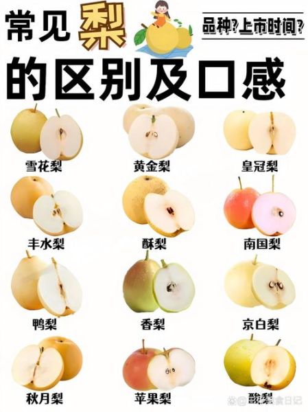 哪种梨适合榨汁_雪梨和鸭梨区别-第2张图片-山城妙识