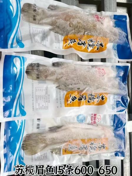 苏眉鱼真假怎么区分_假苏眉鱼有哪些常见品种-第2张图片-山城妙识