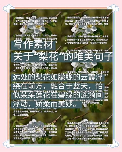 梨花什么时候开花_梨花的花语是什么-第1张图片-山城妙识
