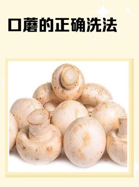口蘑怎么清洗_口蘑清洗的正确方法-第1张图片-山城妙识