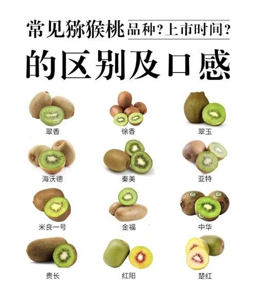 猕猴桃有哪些功效_猕猴桃能减肥吗-第1张图片-山城妙识